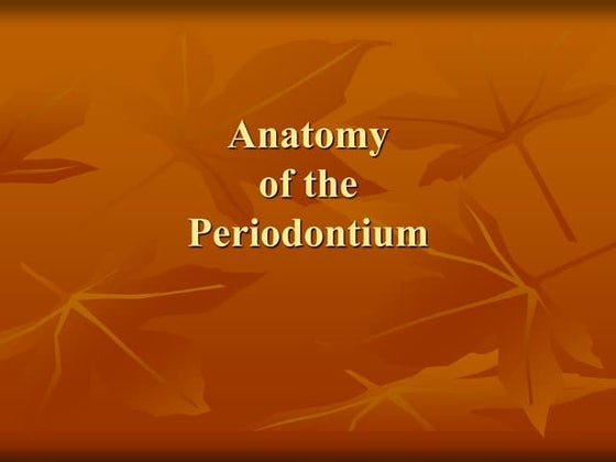 Dental Anatomy: Parts Of A Tooth | PDF