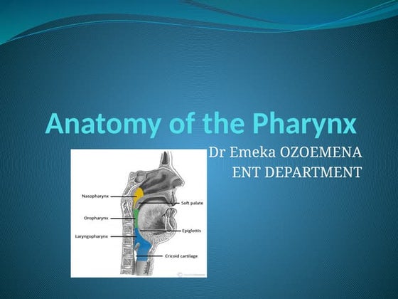 Anatomy of pharynx | PPTX