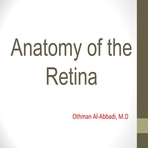 Anatomy of Retina | PPT