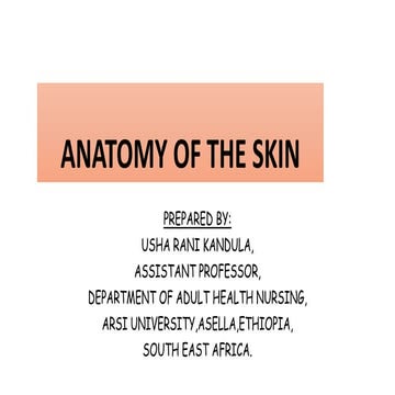 Skin anatomy and physiology | PPTX