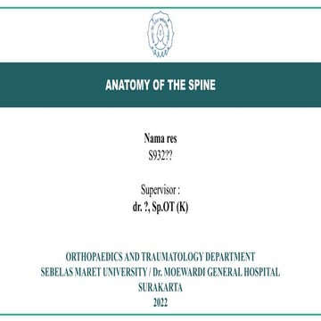 Anatomy of The Spine (1).pptx