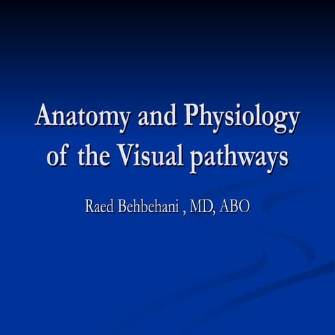 Visual pathway | PPTX
