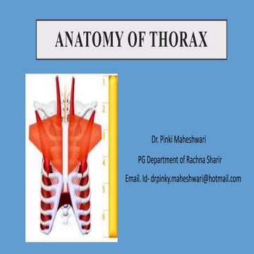 Inlets and outlets of thorax anatomy presentation | PPTX