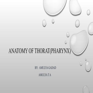 Anatomy of Pharynx | PPTX