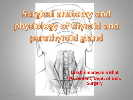 Parathyroid gland_endocrine system _anatomy | PPT