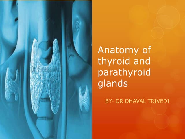 Anatomy of thyroid gland | PPTX