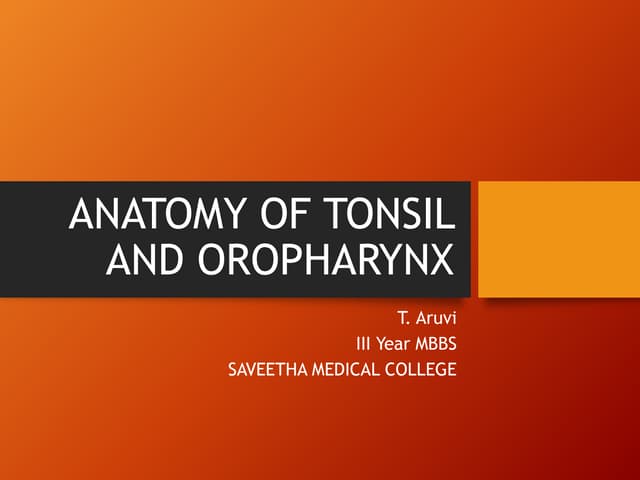 Anatomy of pharynx | PPTX