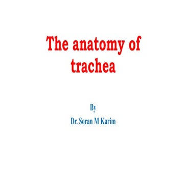 anatomy of trachea.pptx