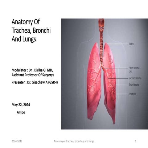 anatomy of trachea.pptx