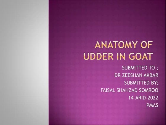 Anatomy of head and cervical region of goat | PPTX