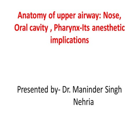 Anatomy of upper airway - a detailed description for anesthetist | PDF