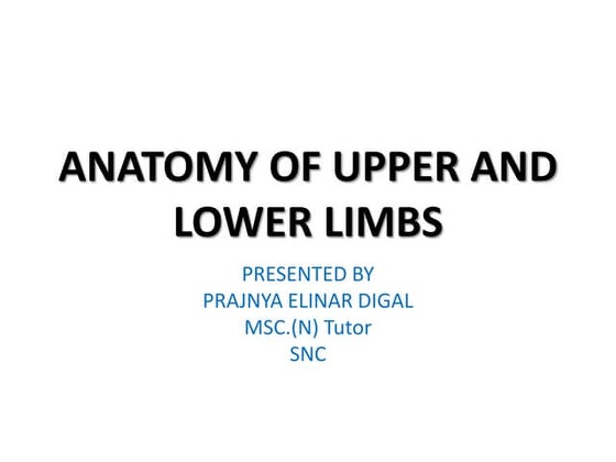 Anatomical planes and positions.pptx