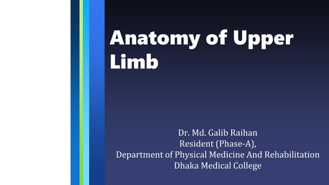 Anatomy of the Upper Limb - Edukite | PDF