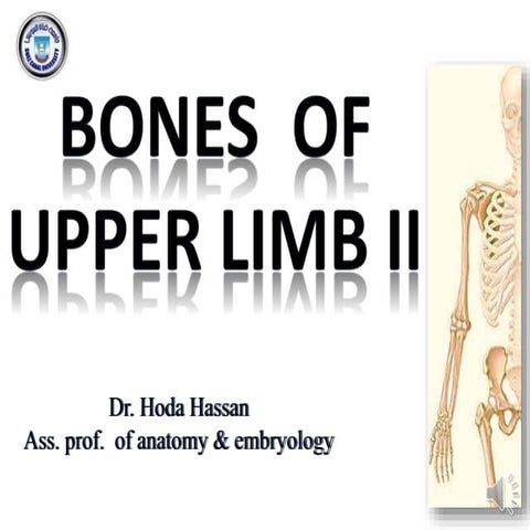 Anatomy of the Ulna: A Detailed Overview for Physiotherapy and Medical Students | PPTX