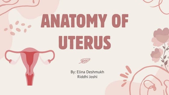 Gross Anatomy of Uterus | PPT