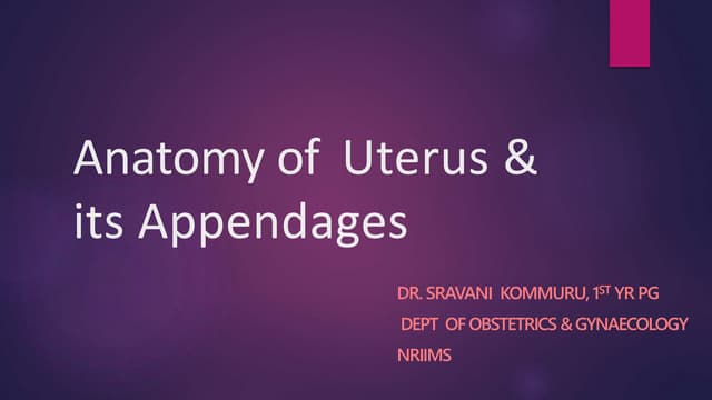 Rectouterine Pouch.pptx