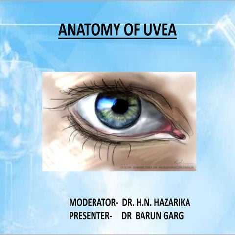 #ANATOMY OF UVEA (IRIS, CILLIARY BODY, CHOROID) | PDF