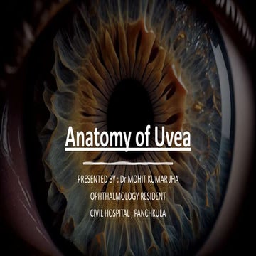 #ANATOMY OF UVEA (IRIS, CILLIARY BODY, CHOROID) | PDF