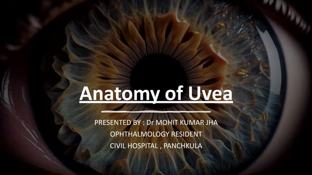 Anatomy of uvea | PPTX