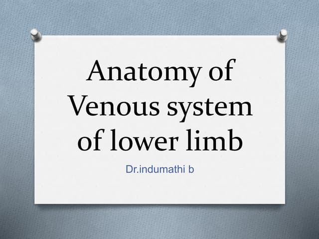 21-Vascular anatomy of the lower limb.pptx