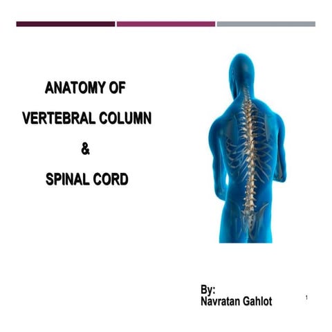 Anatomy of Vertebral Column and Spinal Cord.ppt