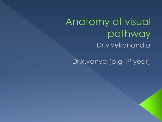 3. Calculate samplesize for prevalence studies | PPT