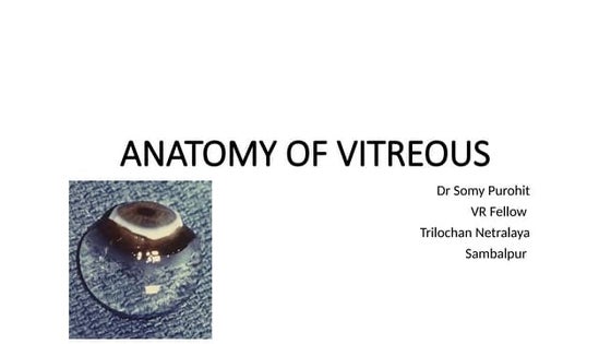 Anatomy Of Vitreous The Anatomy Of The 'camera' Eye | UCL Institute Of