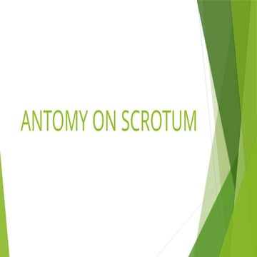 ANATOMY ON SCROTUM easy way to learn this just download.pptx