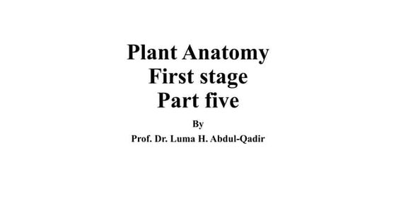 Anatomy lecture 3 | PPTX