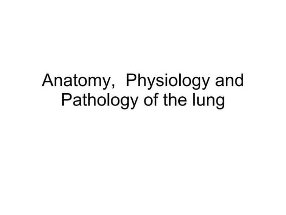 Respiratory physiology | PDF