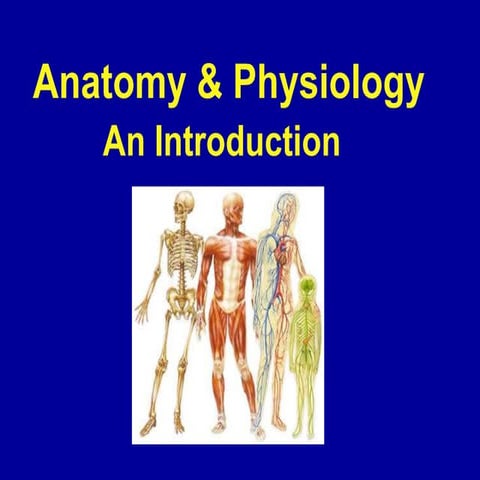Branches of anatomy | PPT