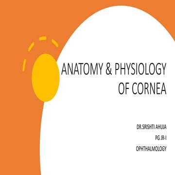 Anatomy and physiology of cornea 1 .pptx