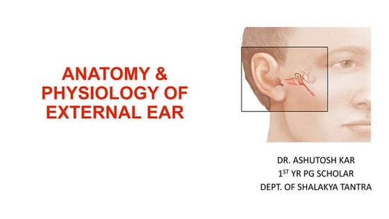 ANATOMY OF EXTERNAL AUDITORY CANAL | PPT