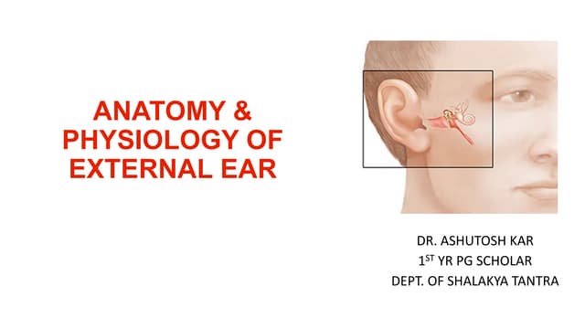 Anatomy of external ear | PPT