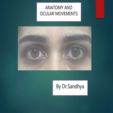 ocular movements.ppt