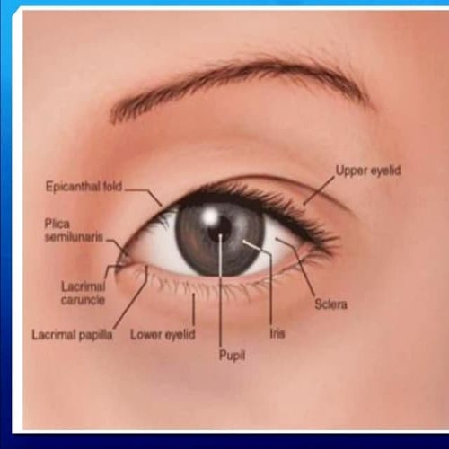 Anatomy & physiology of eye RB sir .pdf