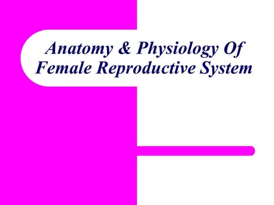 The uterus | PPTX | Pregnancy | Reproductive Health