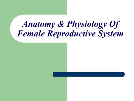 Female reproductive system | PPT