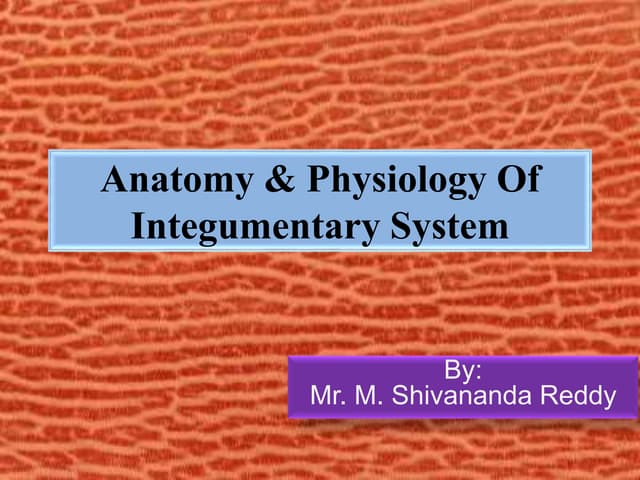 Skin anatomy and physiology | PPTX