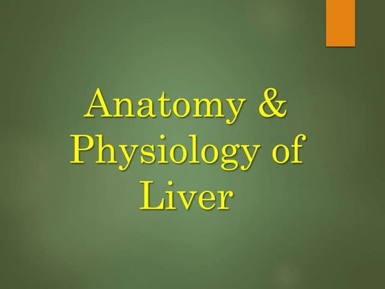 Function of the liver | PPT