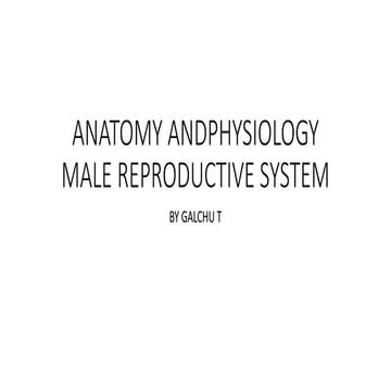 Male reproductive system | PPTX
