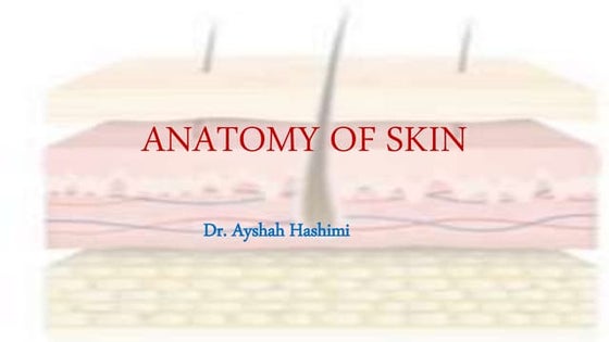 Skin anatomy | PPT