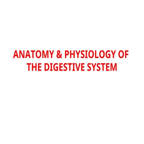 Comprehensive Anatomy & Physiology of the Human Digestive System | PPT