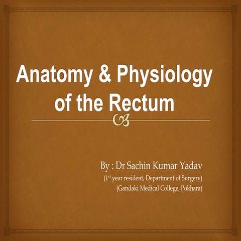 Histology Of Rectum And Anal Canal.pptx