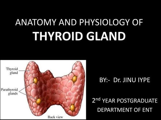 Development of Thyroid Gland (Special Embryology) | PPT