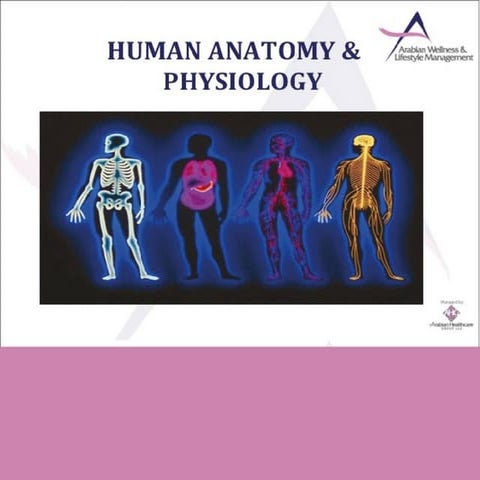 Anatomy & physiology pp t | PPT