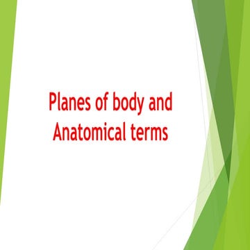 Anatomy (planes and Terms).pptx