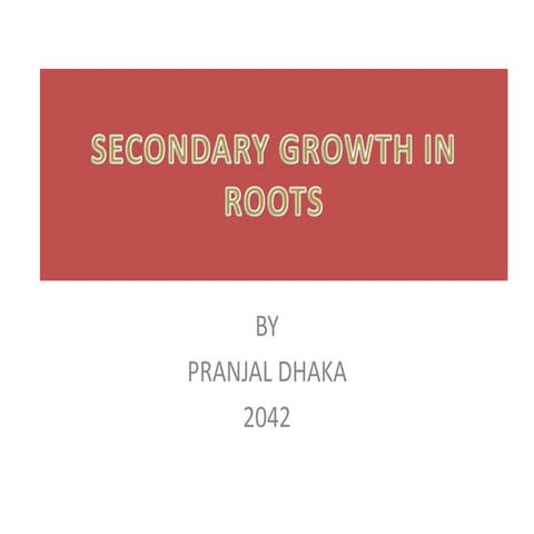 Secondary growth in plant roots | PPTX