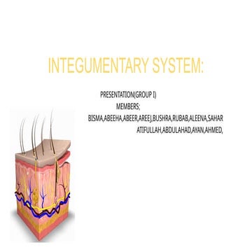 presentation of human integumentary system | PPTX