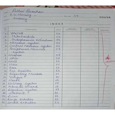 Anatomy practical copy | PDF